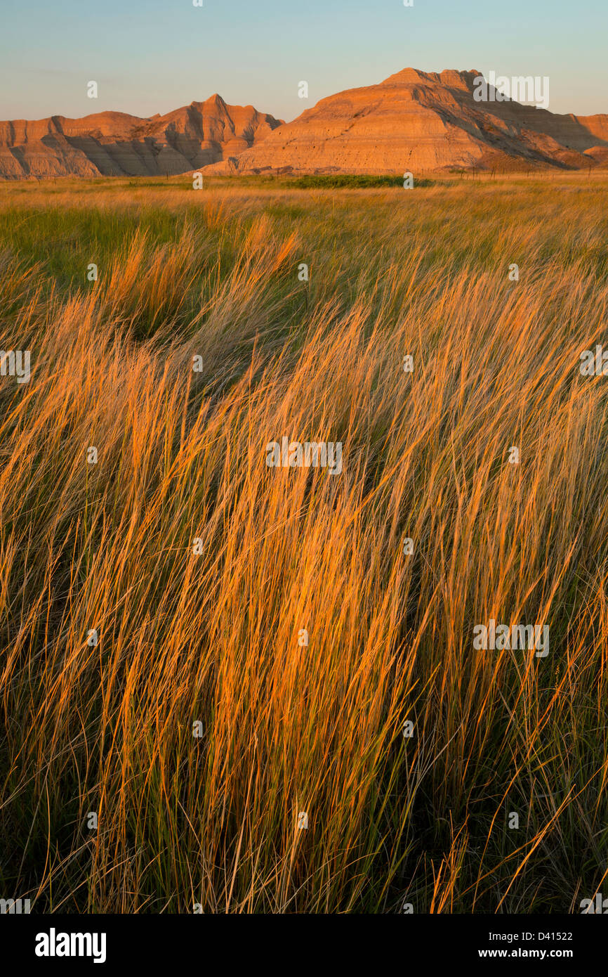The prairie meets the Badlands in Badlands National Park. South Dakota ...