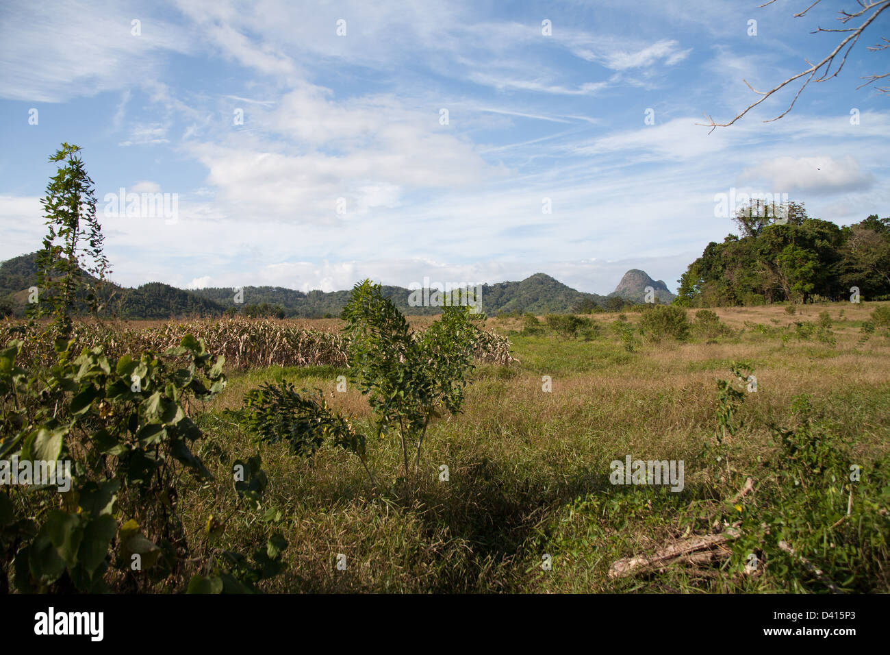 Penonome panama hi-res stock photography and images - Alamy