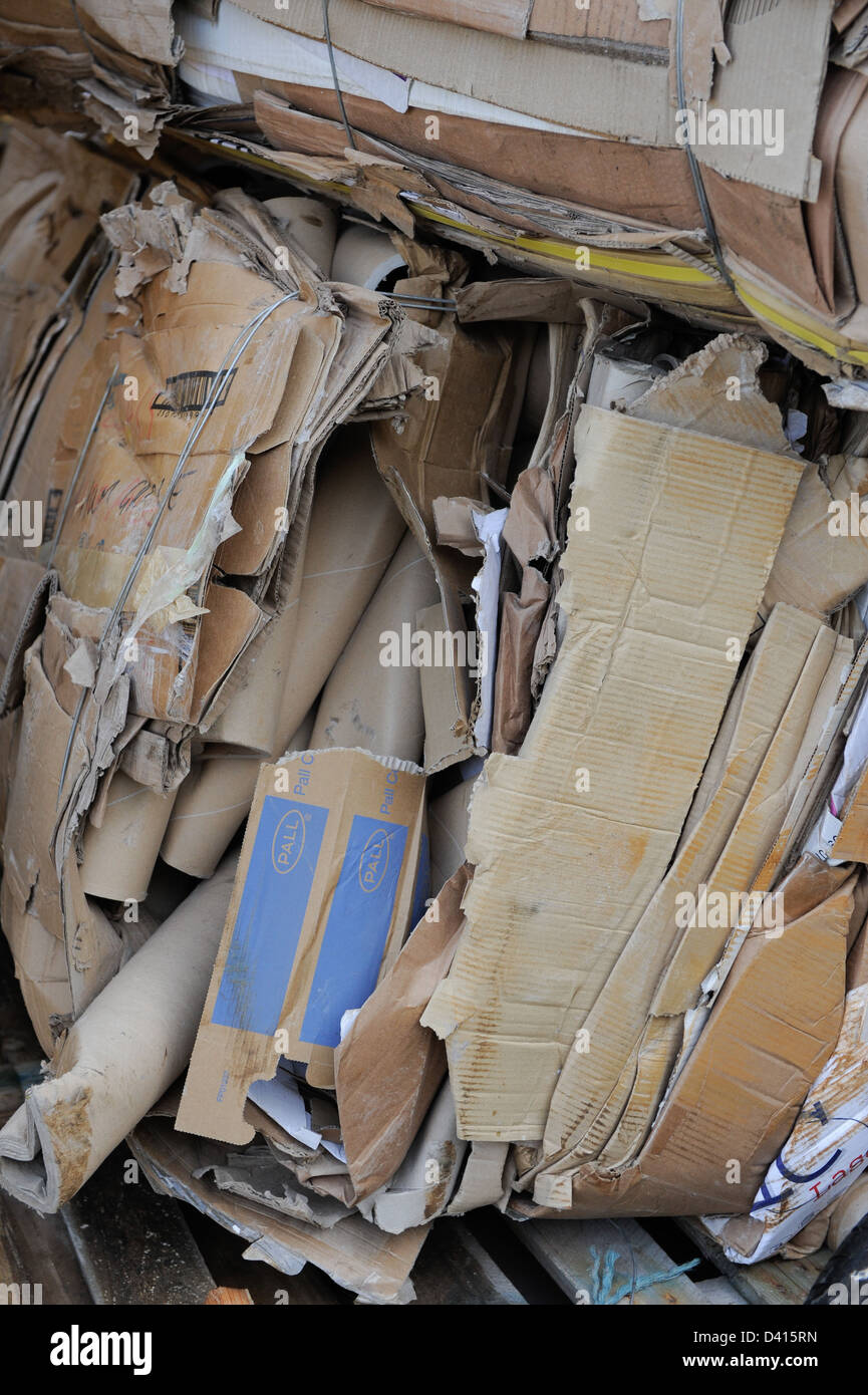 Cardboard recycling at recycling plant Stock Photo - Alamy