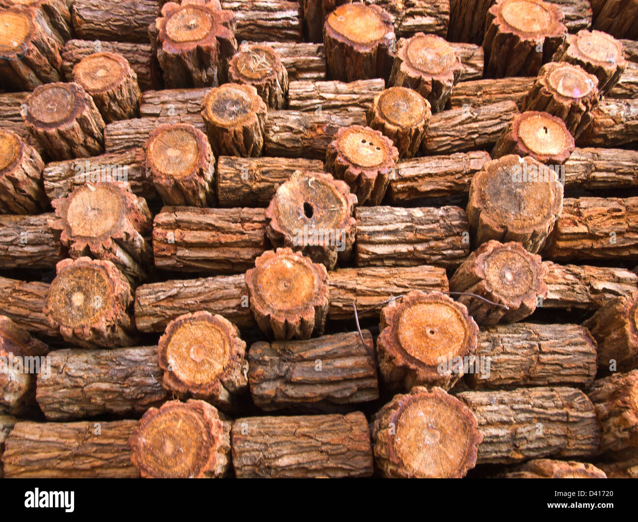 fire wood background texture. closeup of chopped fire wood stack Stock ...