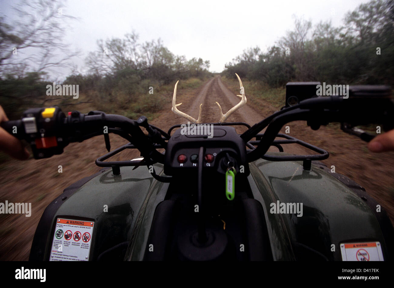 Deer hunter driving an ATV down a South Texas ranch road Stock Photo ...