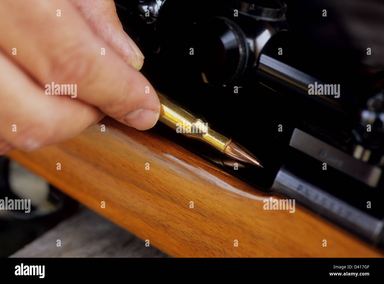 Deer hunter loading a bullet into his bolt action hunting rifle Stock ...