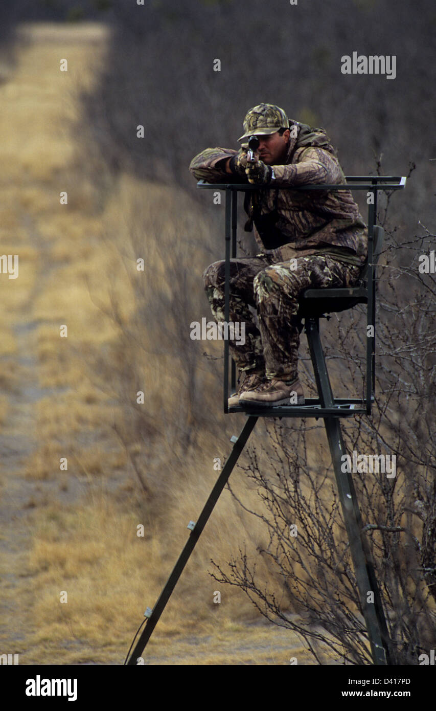A South Texas deer hunter aims his rifle from tripod hunting blind ...
