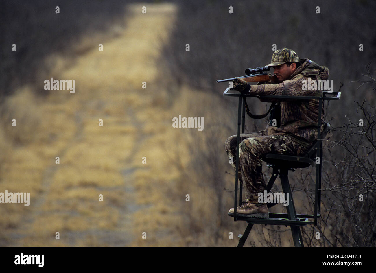 A South Texas deer hunter aims his rifle from tripod hunting blind ...