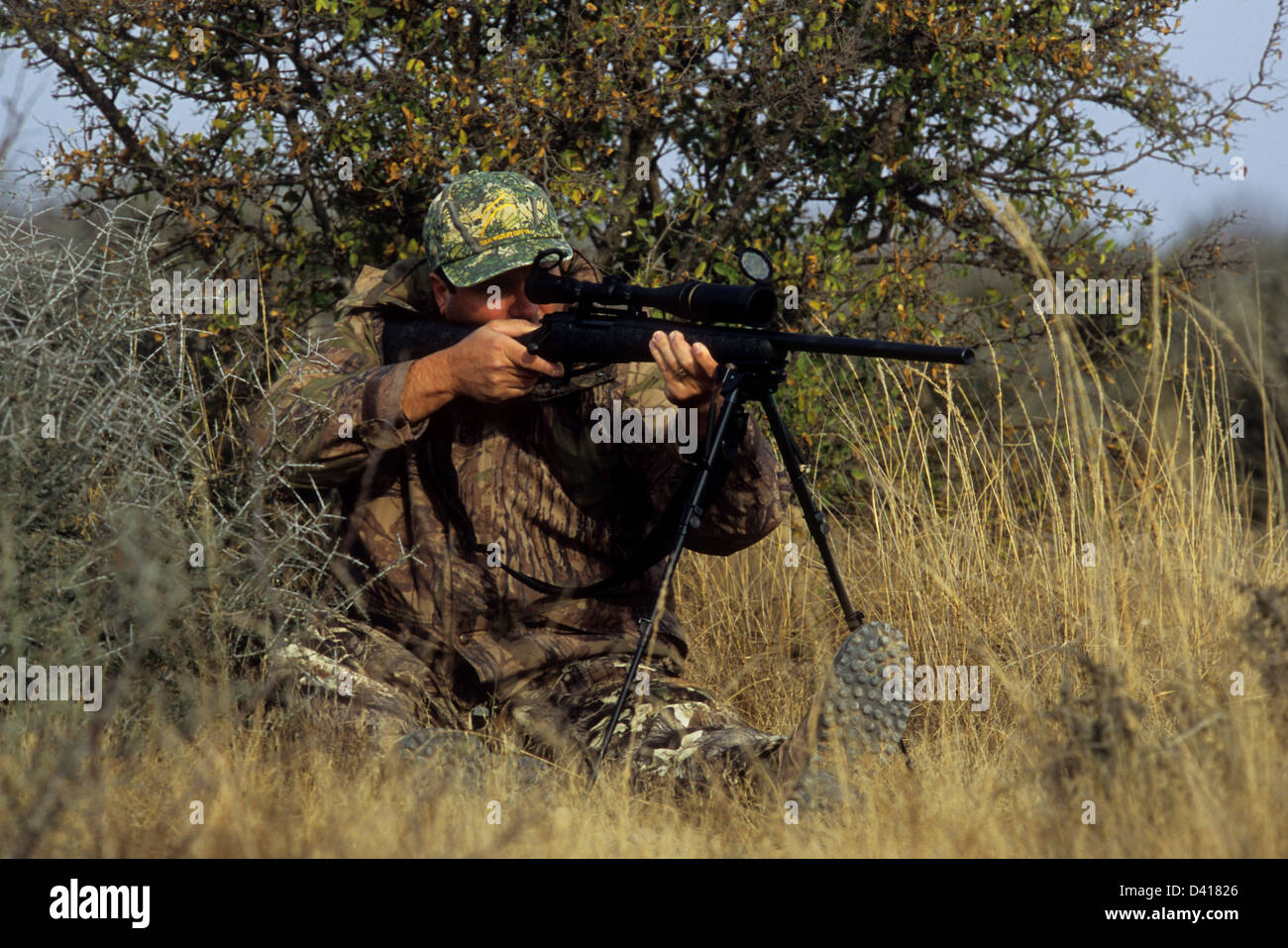 A South Texas deer hunter looking through his scope and aiming a rifle ...