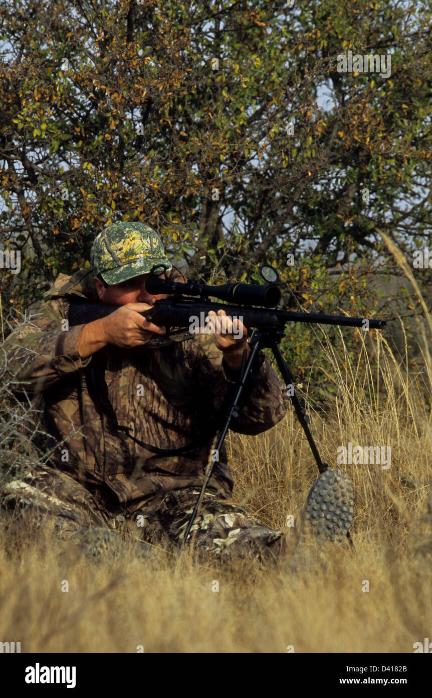 A South Texas deer hunter looking through his scope and aiming a rifle ...