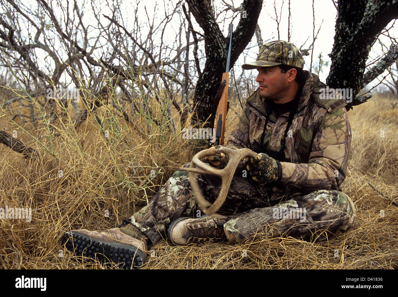 Rattling horns hi-res stock photography and images - Alamy