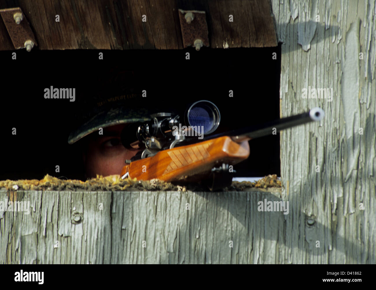 A South Texas whitetail deer hunter aiming his rifle from a tower blind ...