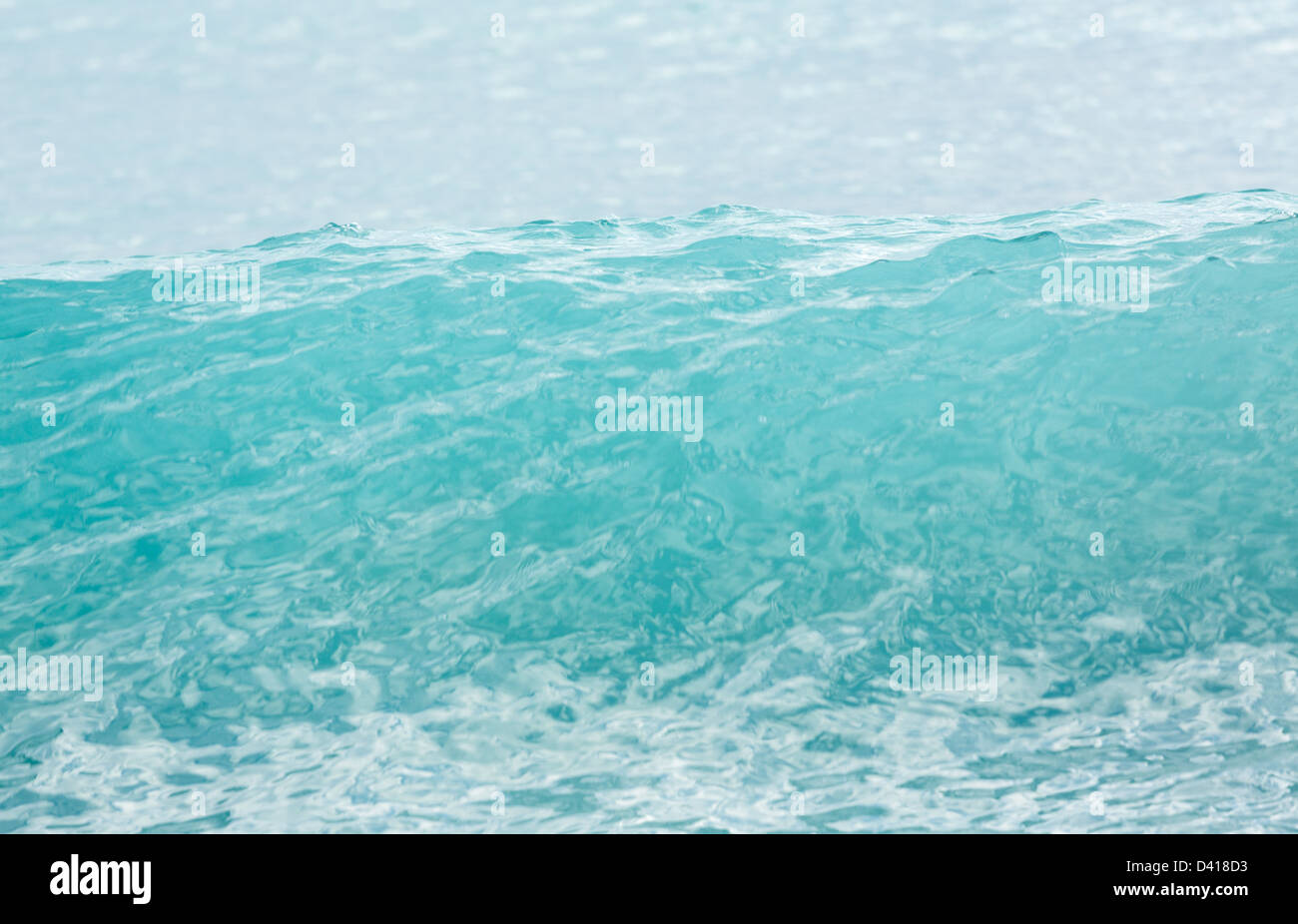Turquoise blue wave building to peak before breaking as surf on the ...