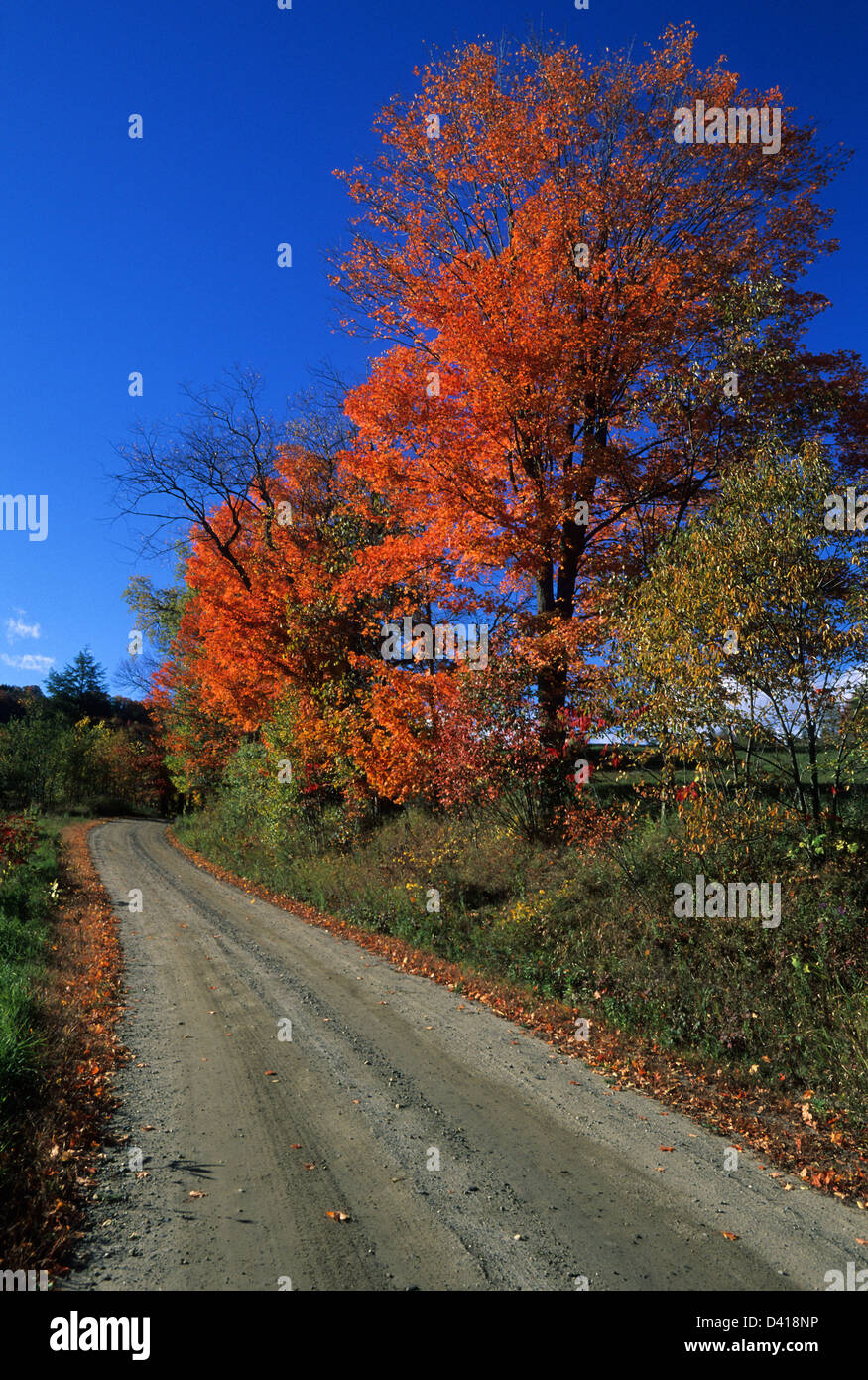 Vermont fall foliage road hi-res stock photography and images - Alamy