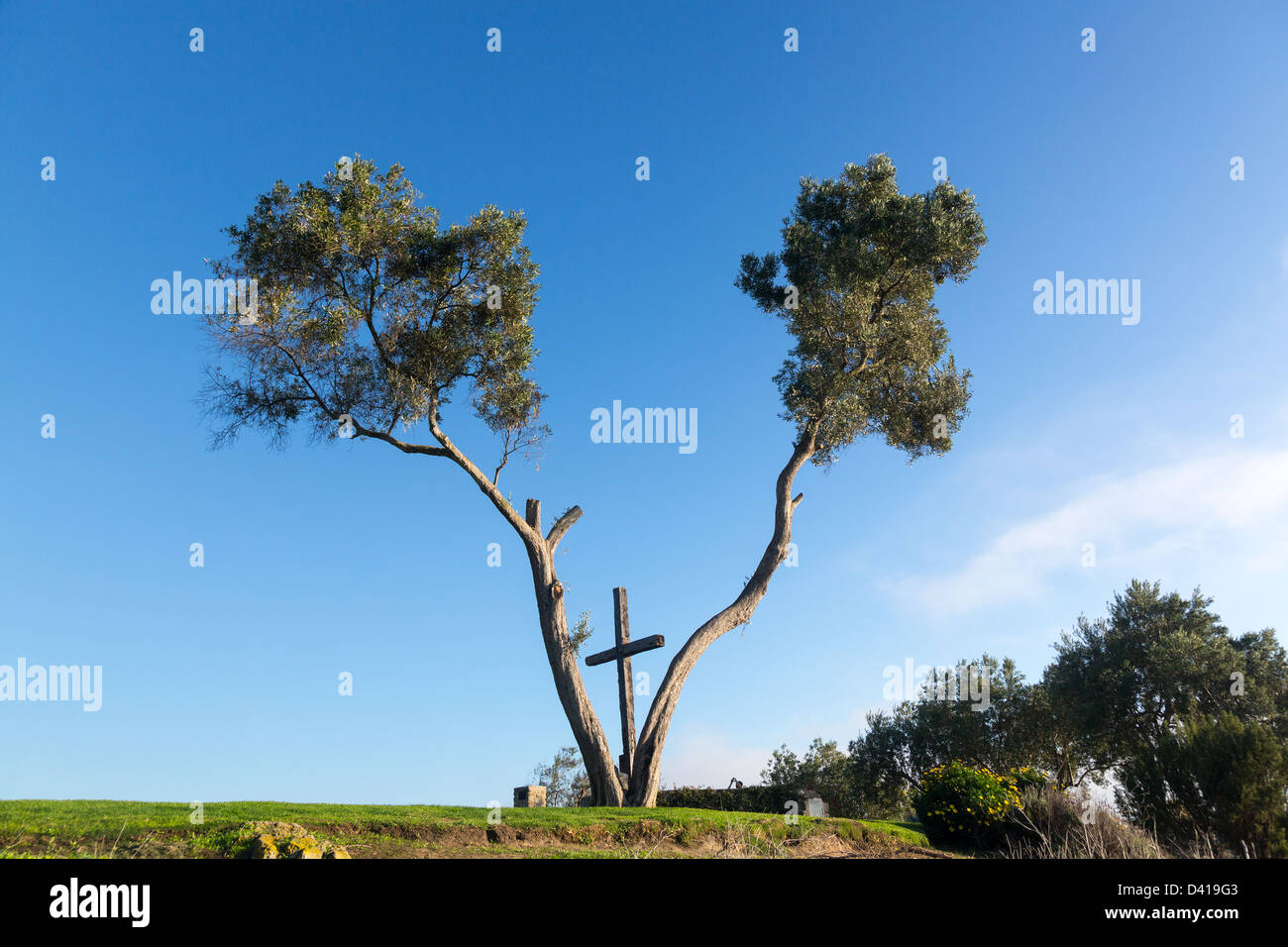 Serra Cross in Grant Park in Ventura California set between fork in ...