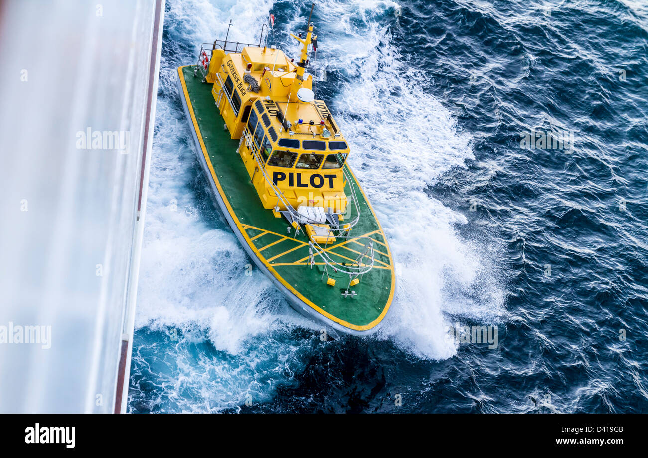 Sydney Pilot Boat, Governor Bligh, beside cruise ship Stock Photo - Alamy