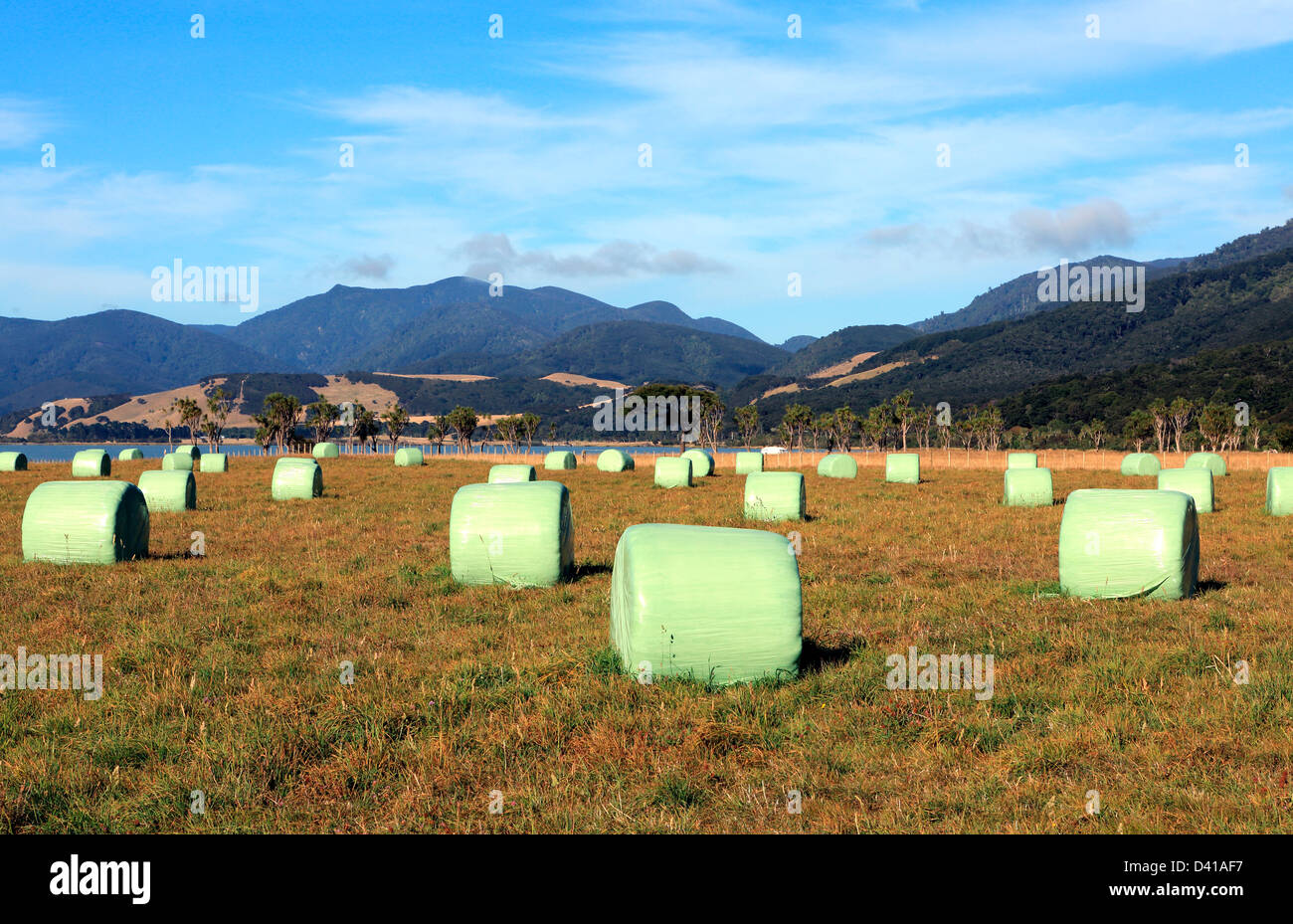 Plastic wrapped hay bales hi-res stock photography and images - Alamy