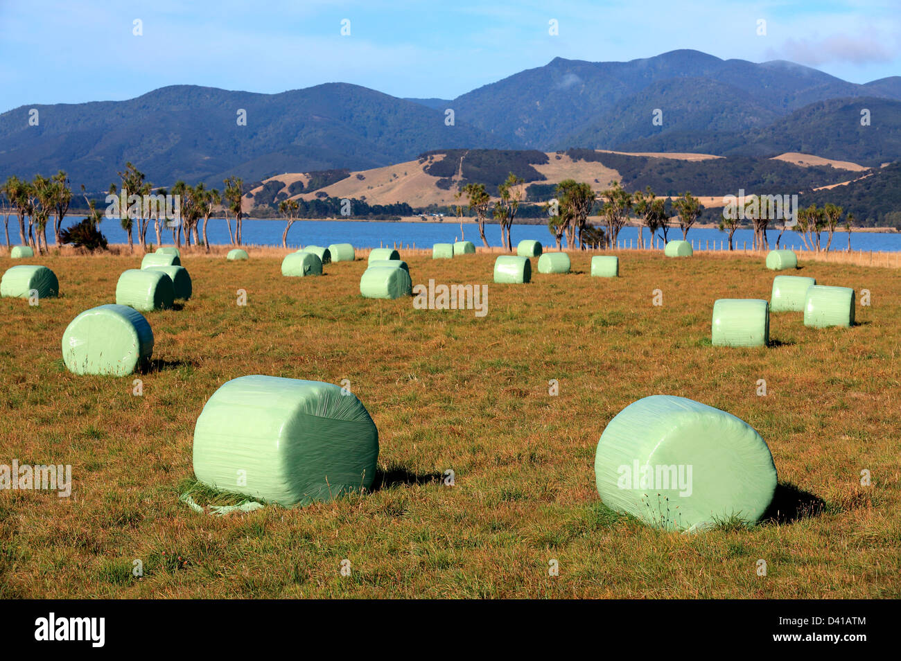 Plastic Field Paddock High Resolution Stock Photography and Images - Alamy