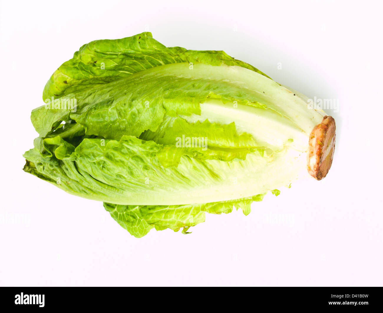 Fresh crisp salad hi-res stock photography and images - Alamy