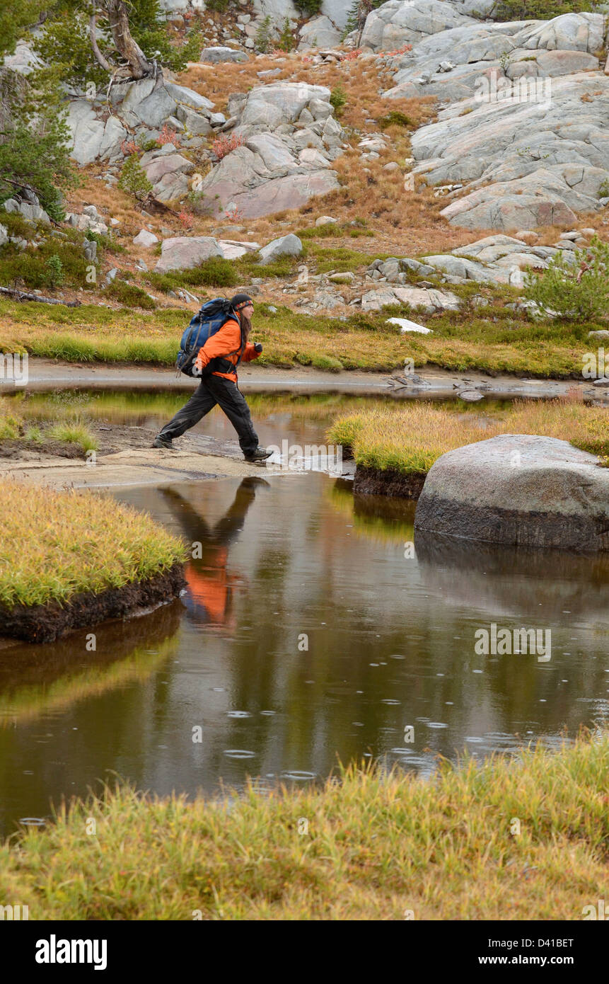 Woman crossing a stream in a high elevation meadow on a backpack trip ...