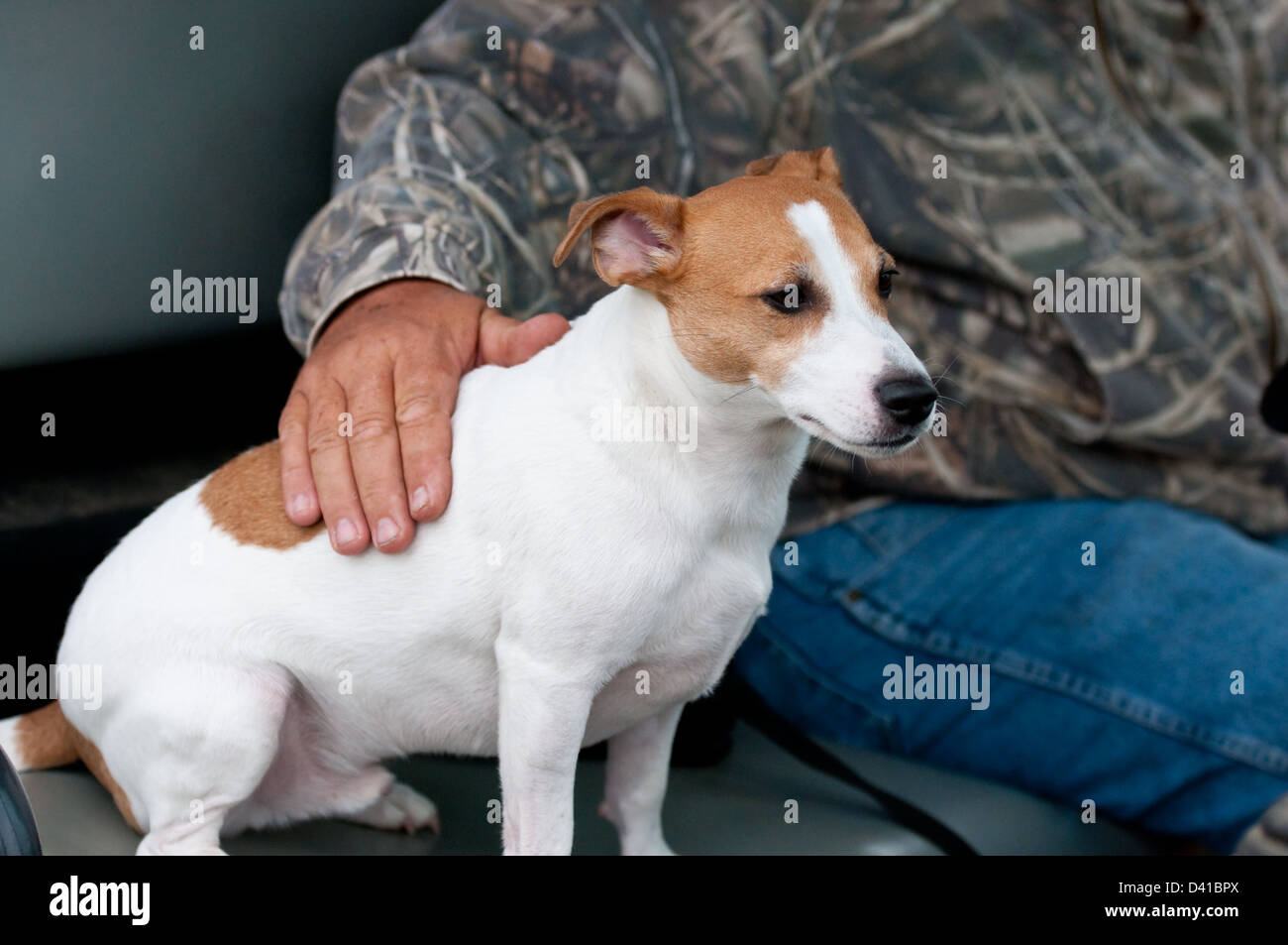 Camo jacket hi-res stock photography and images - Alamy