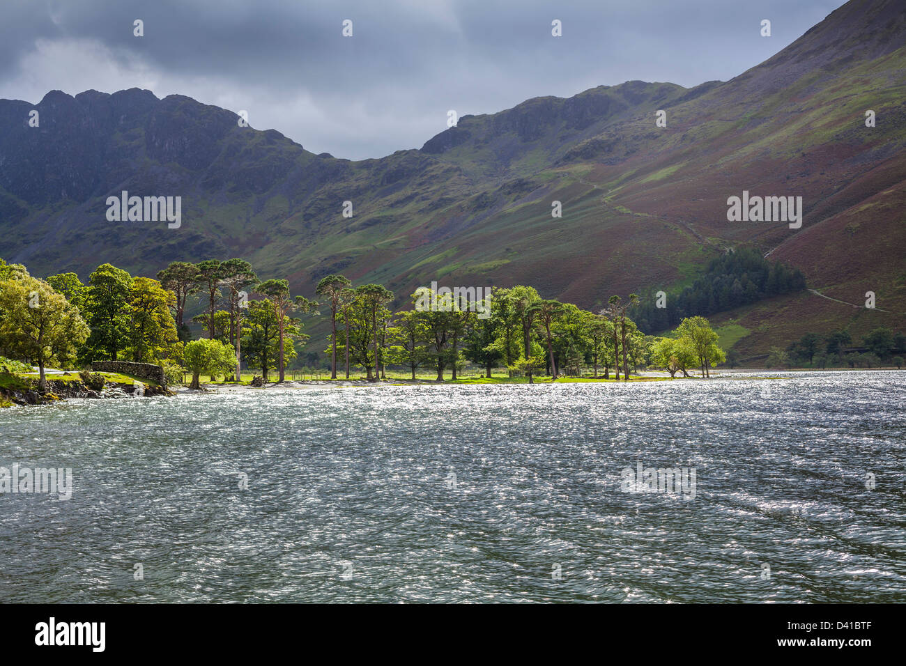 Sunlight on Buttermere, the Lake District, Cumbria Stock Photo - Alamy