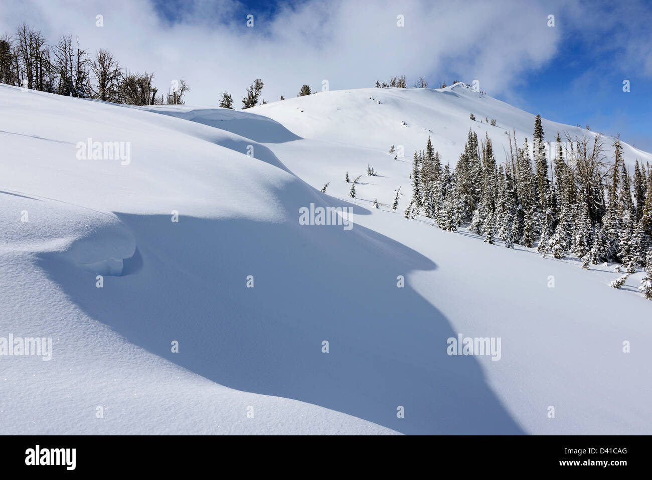 Wing Ridge in winter, Wallowa Mountains, Oregon Stock Photo - Alamy