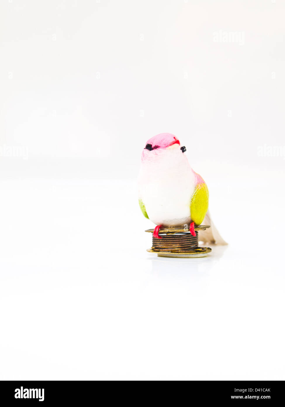 A miniature colorful bird isolated on white background Stock Photo - Alamy