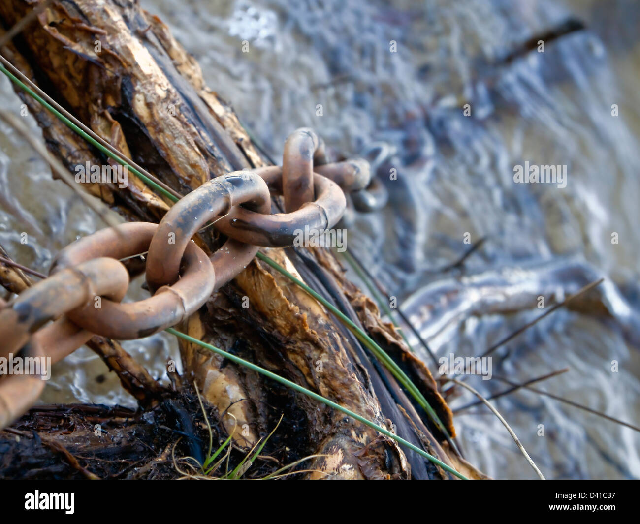 Paper chain tree hi-res stock photography and images - Alamy