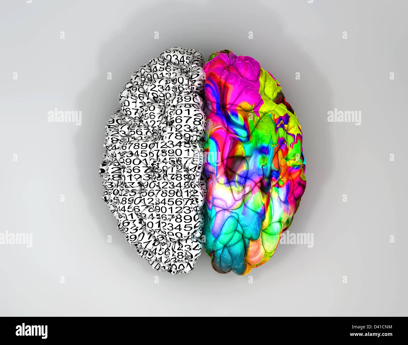 A brain depicting the right creative side and the left anylitical side ...