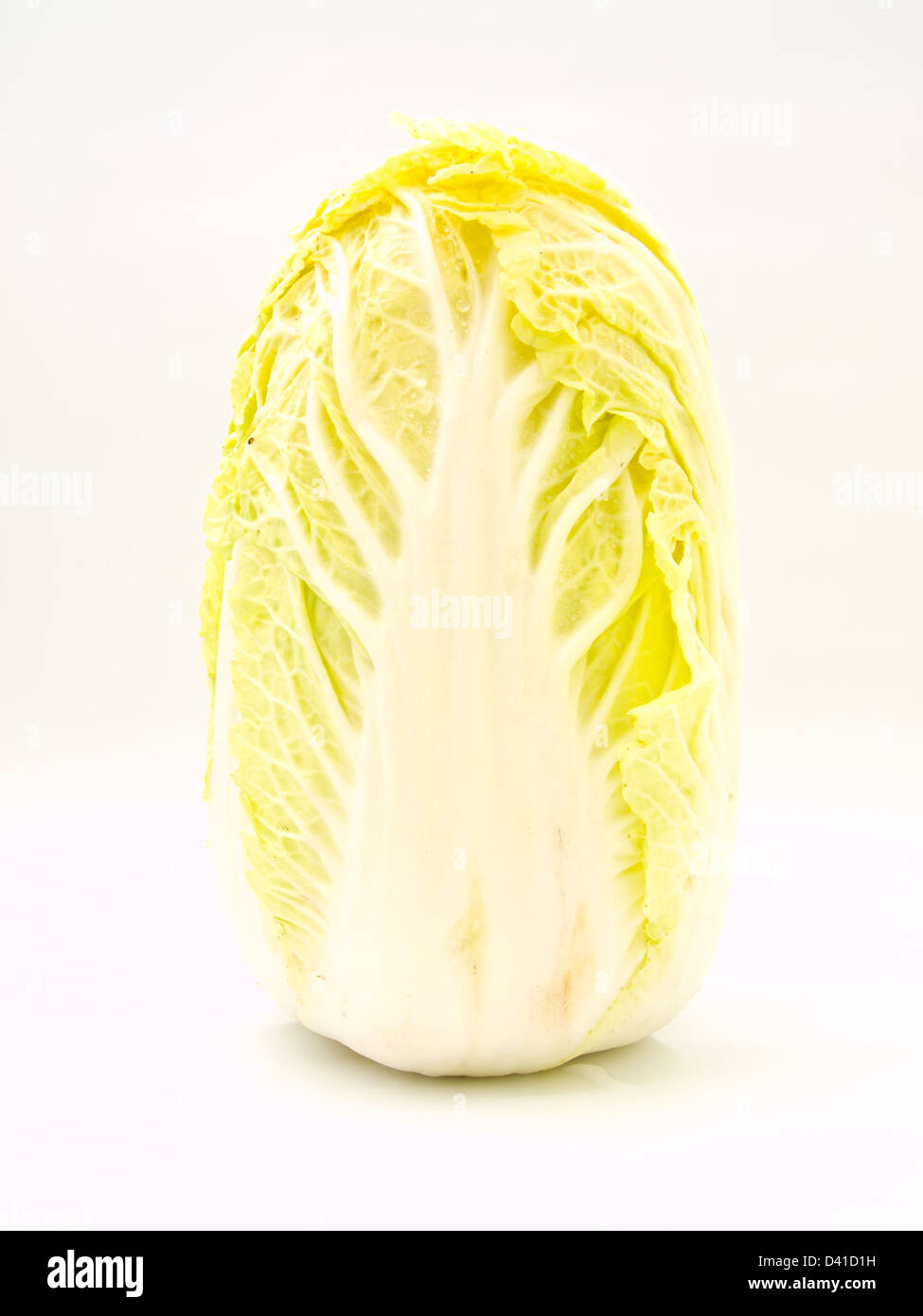 Fresh chinese cabbage isolated hi-res stock photography and images - Alamy