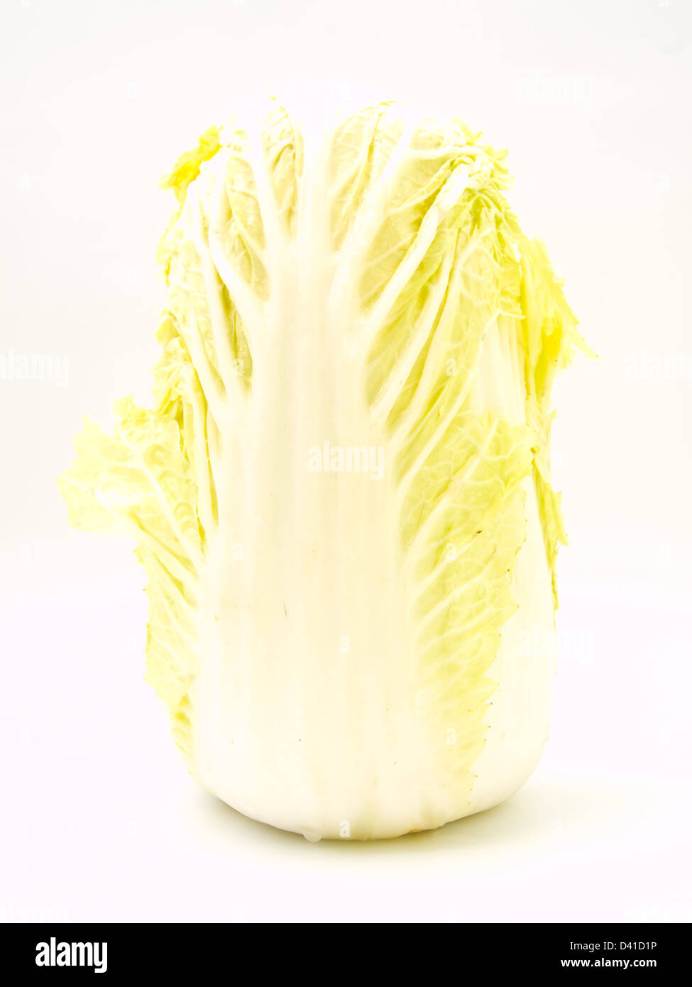 Fresh Chinese cabbage isolated on white background Stock Photo - Alamy