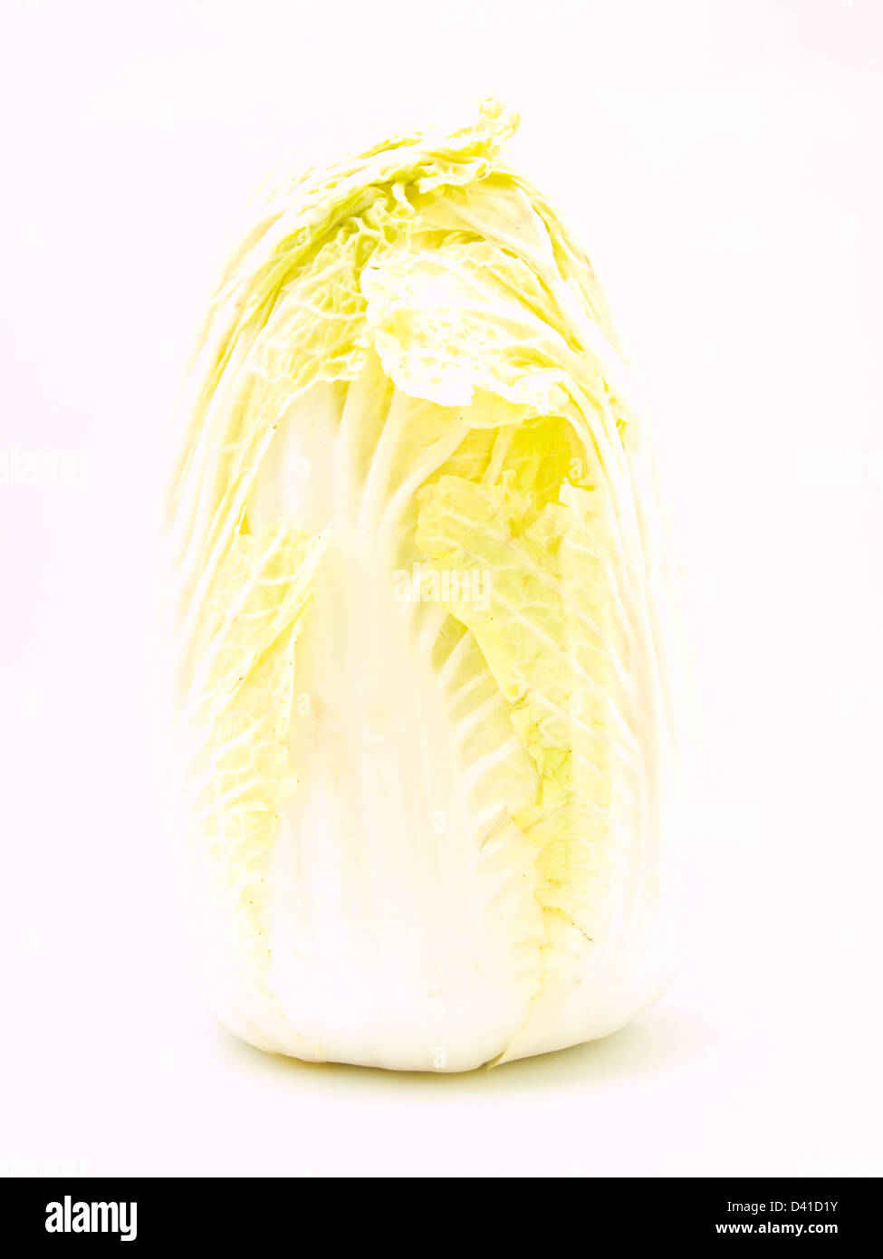 Fresh Chinese cabbage isolated on white background Stock Photo - Alamy