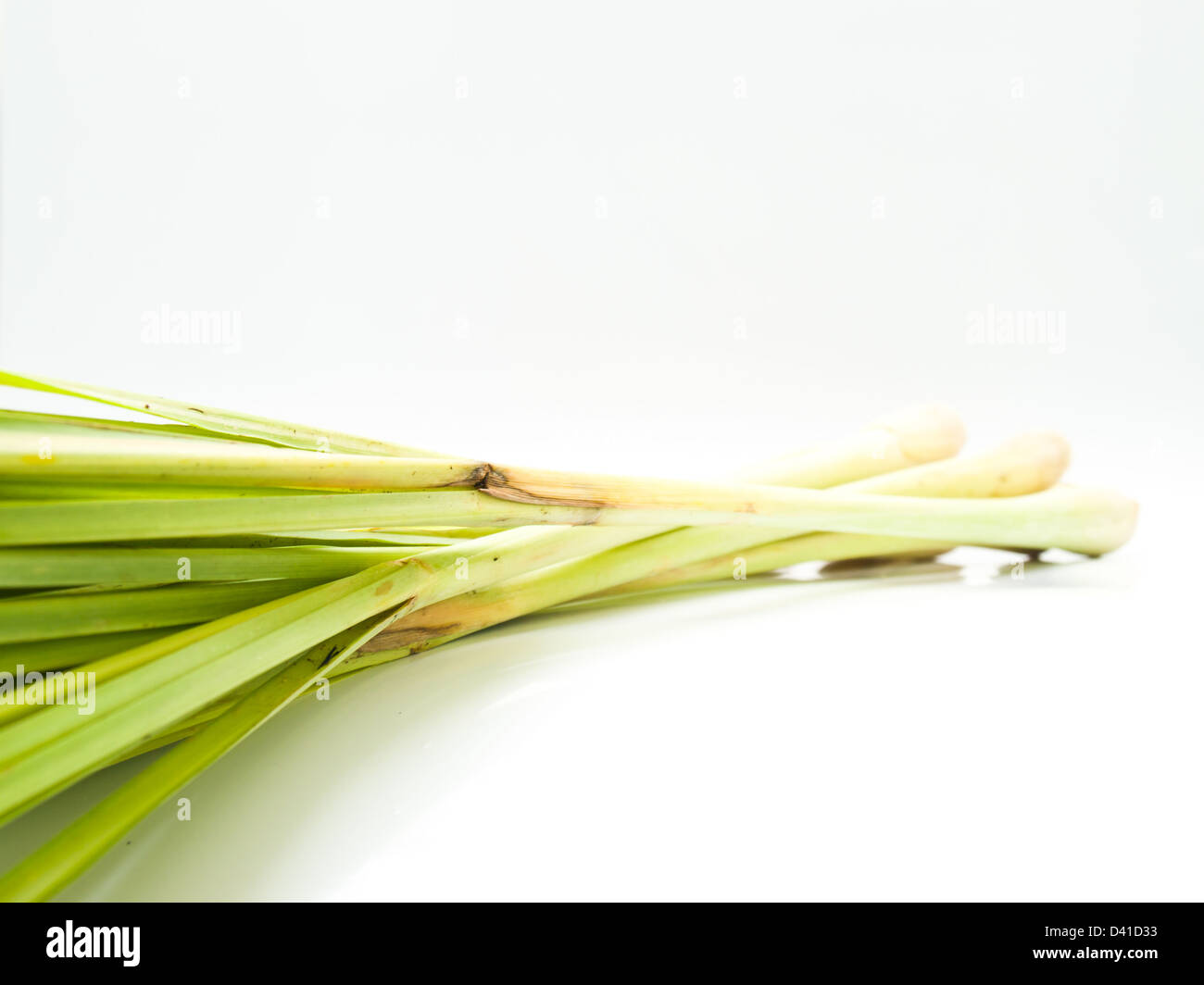 Fresh Lemon-grass isolated on white background Stock Photo - Alamy