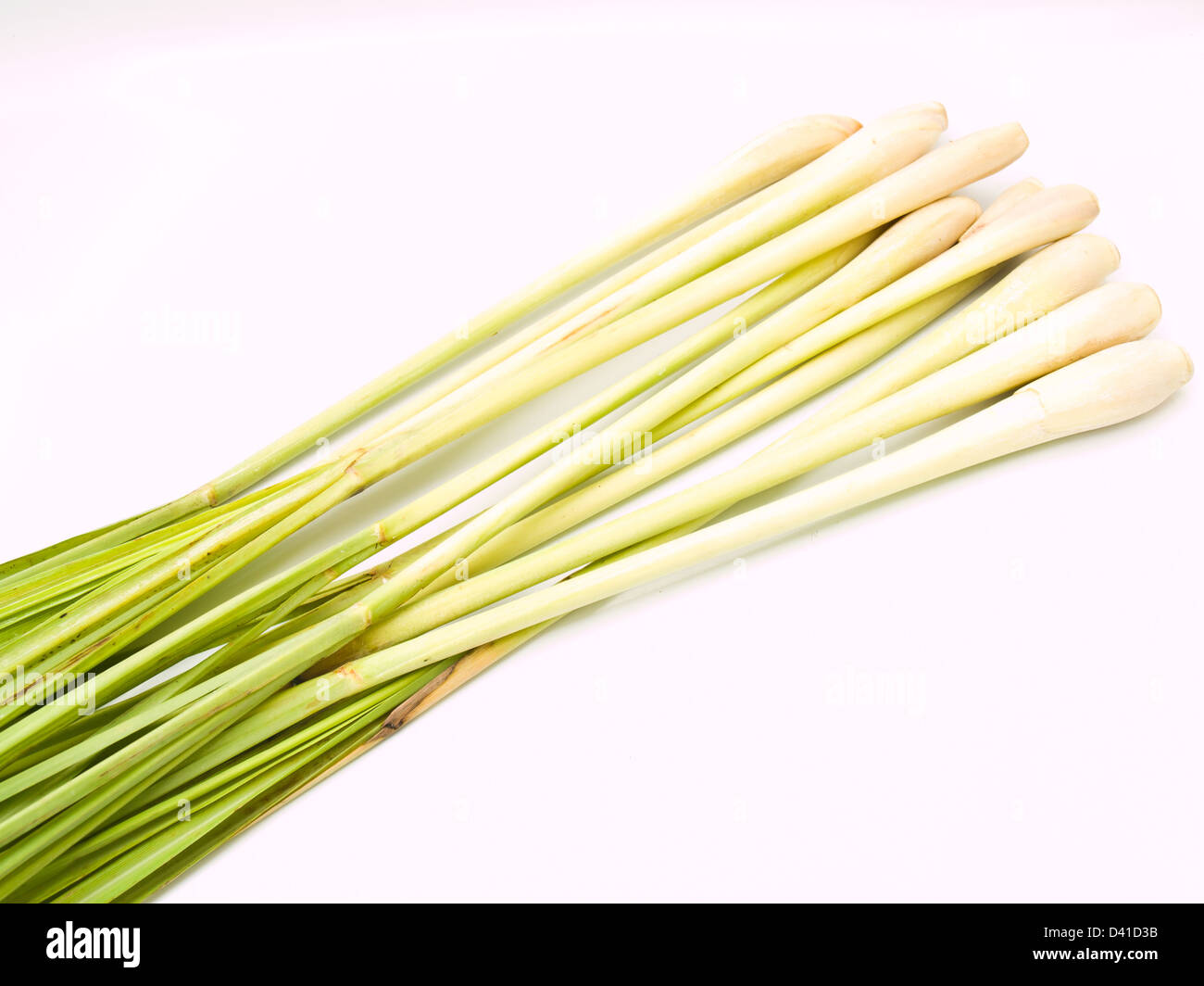 Fresh Lemon-grass isolated on white background Stock Photo - Alamy