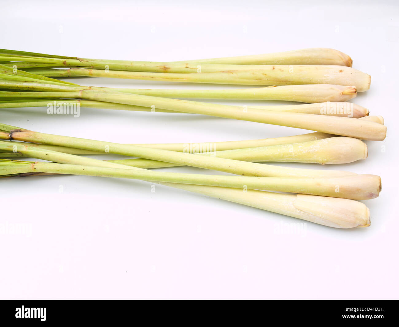 Fresh Lemon-grass isolated on white background Stock Photo - Alamy