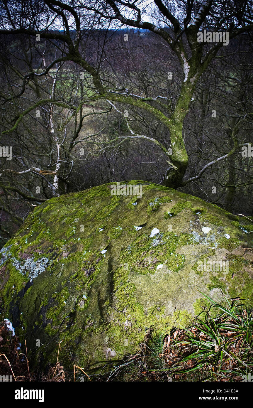 Prehistoric rock carvings hi-res stock photography and images - Alamy