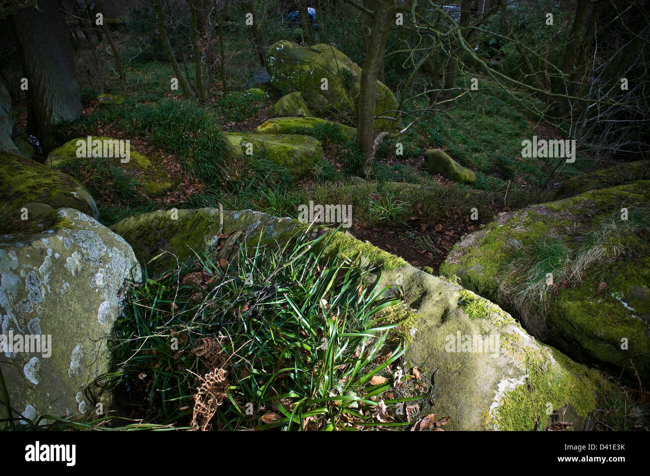 Prehistoric rock carvings at Rowtor Rocks, Birchover, Derbyshire, UK ...