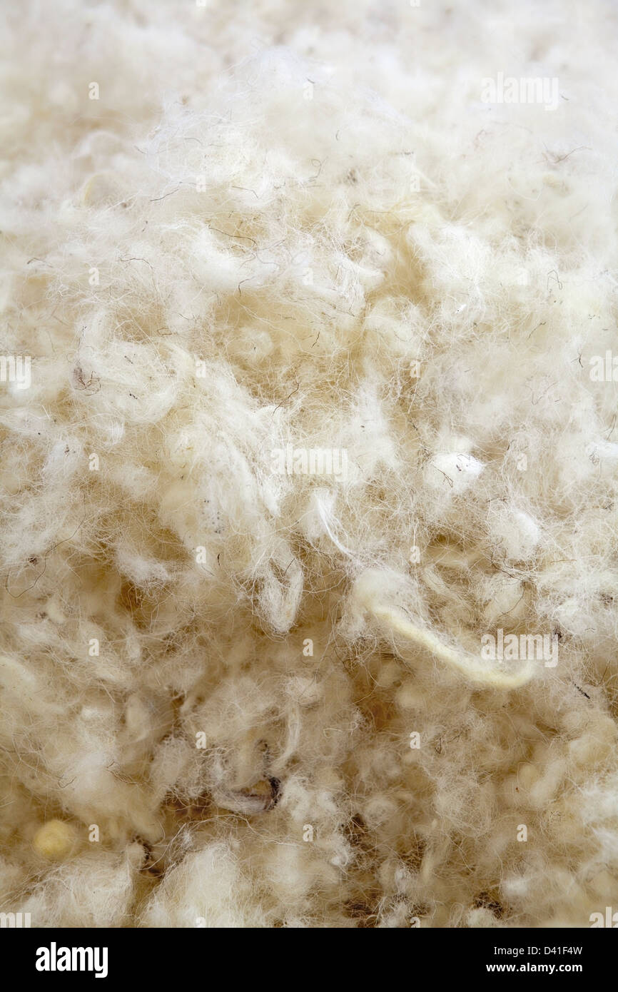 Pure wool hi-res stock photography and images - Alamy
