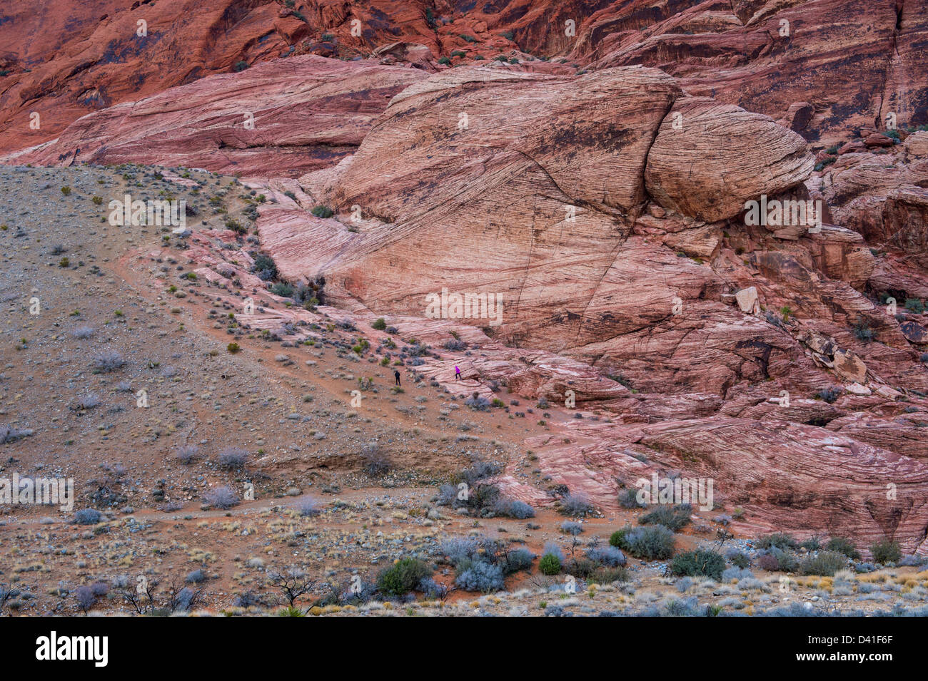 The Red Rock canyon near las Vegas , Nevada Stock Photo - Alamy