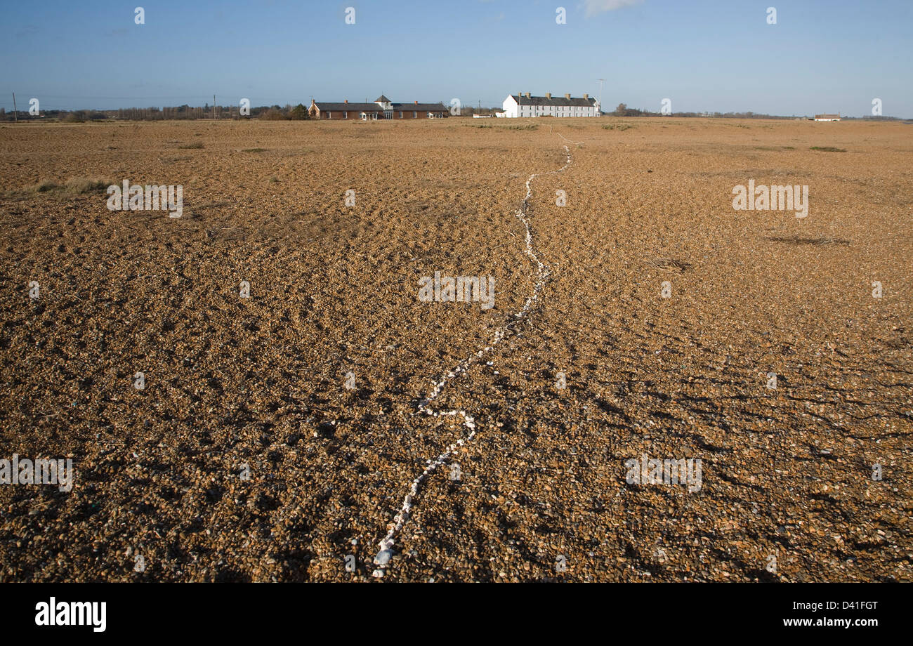 White line of sea shells running over shingle beach towards Coastguard ...