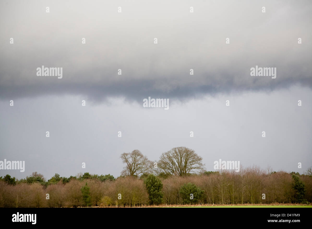 Raincloud over woodland Suffolk, England Stock Photo - Alamy