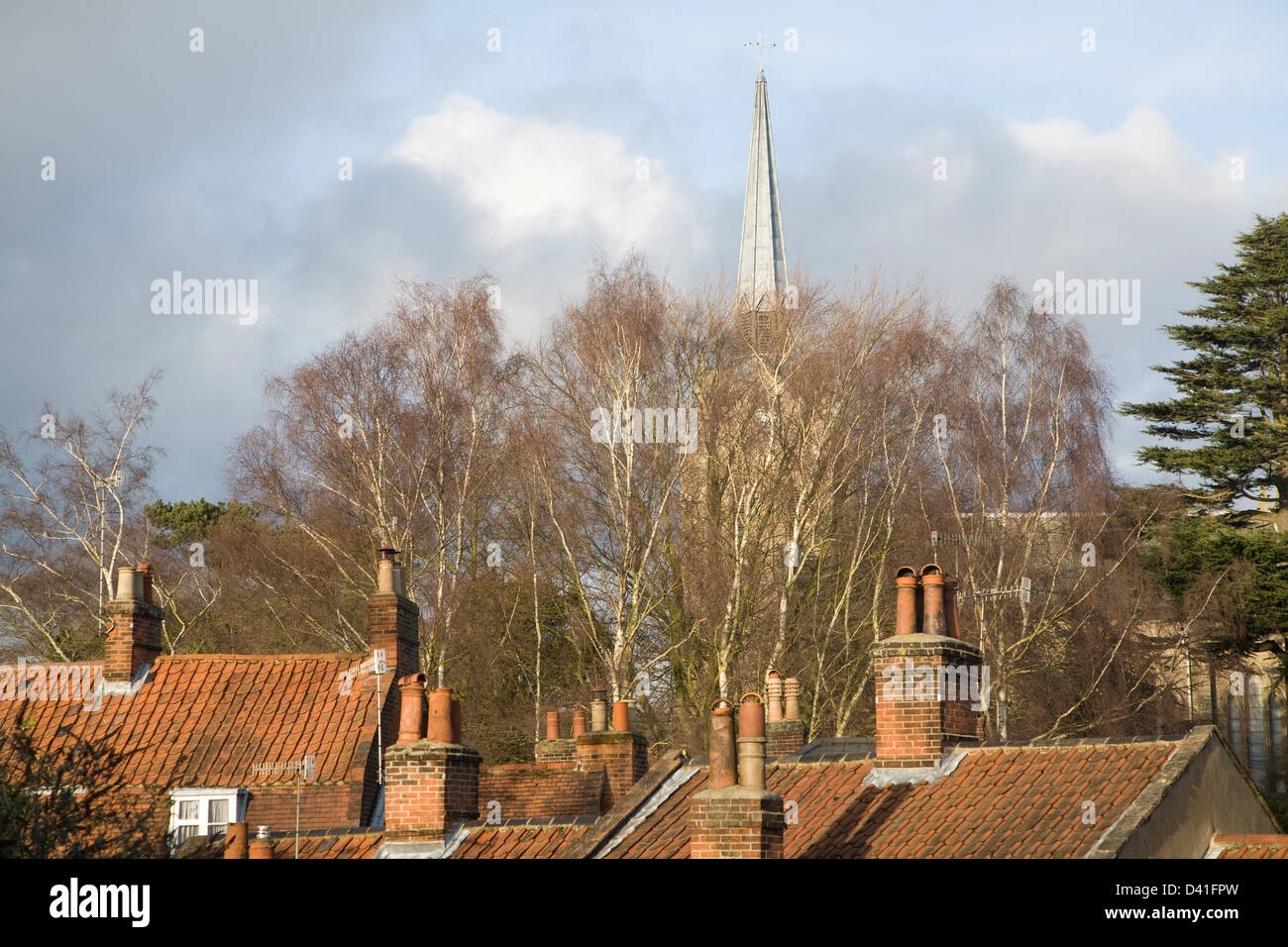 Church spire rising above silver birch trees and rooftops, Woodbridge ...