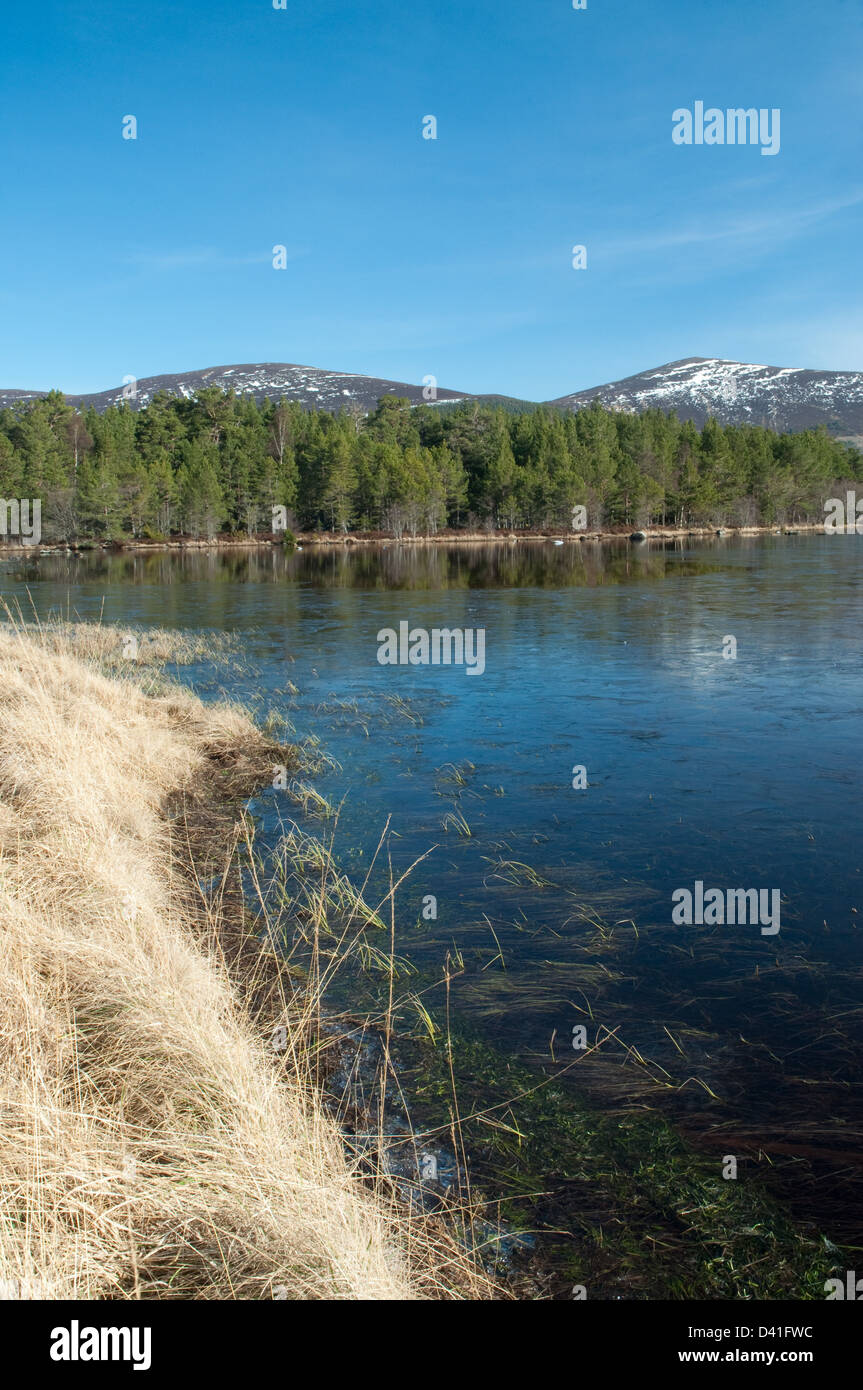 Frozen Loch Morlich Stock Photo - Alamy