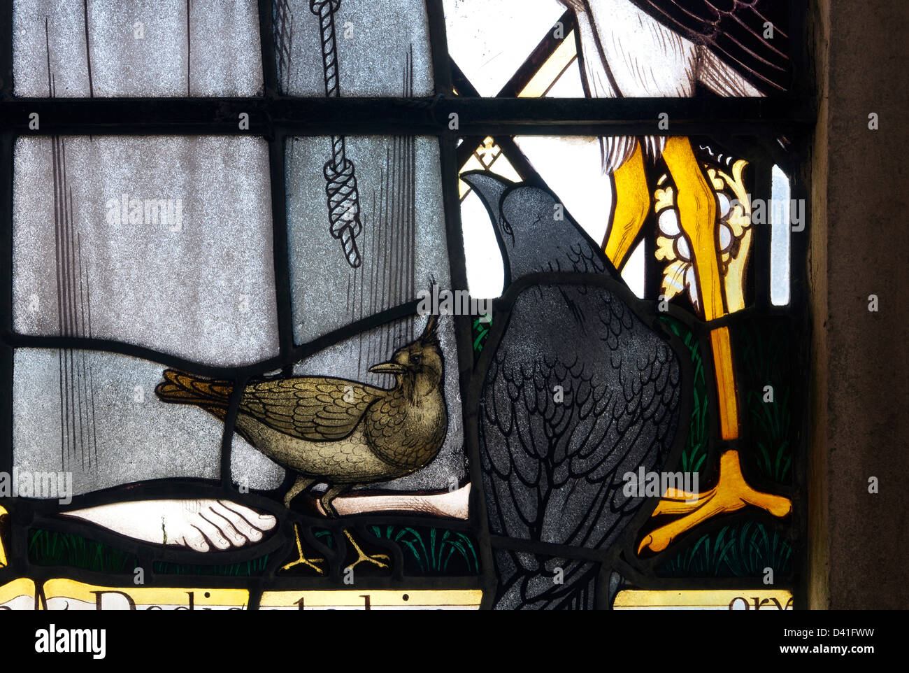 Crow glass windows hi-res stock photography and images - Alamy