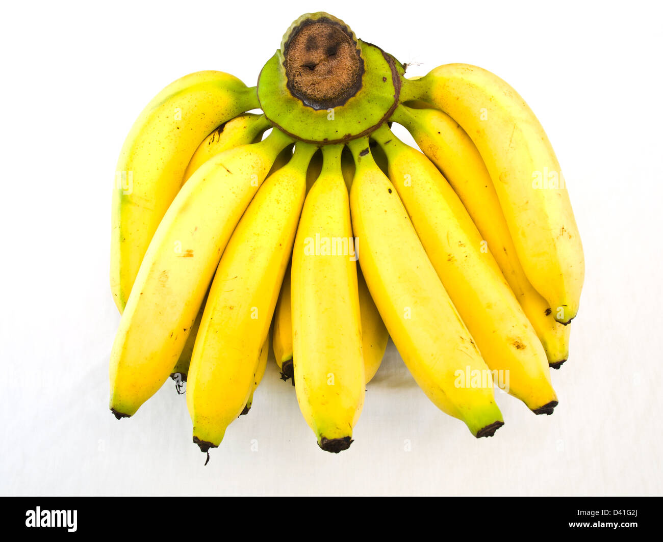 Banana Bunch from Thailand Stock Photo - Alamy