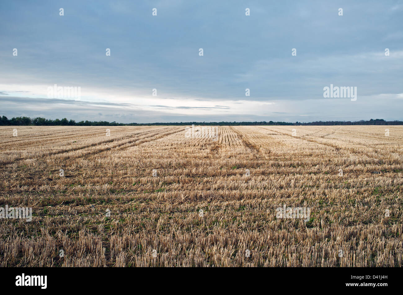 Fallow agricultural land Stock Photo - Alamy