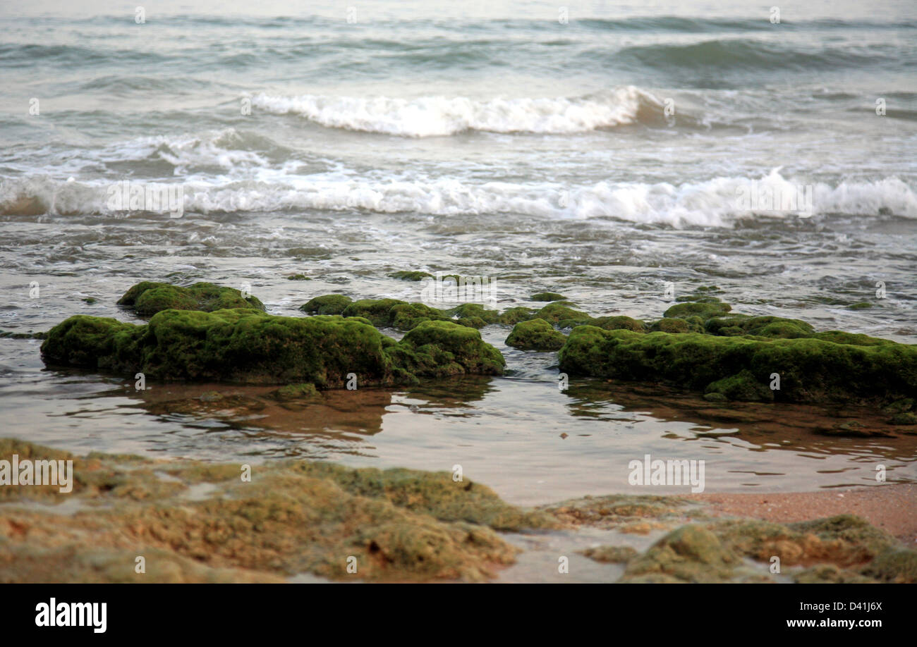 Waves in the Atlantic ocean at night Stock Photo - Alamy Waves in the Atlantic ocean at night Stock Photo - Alamy