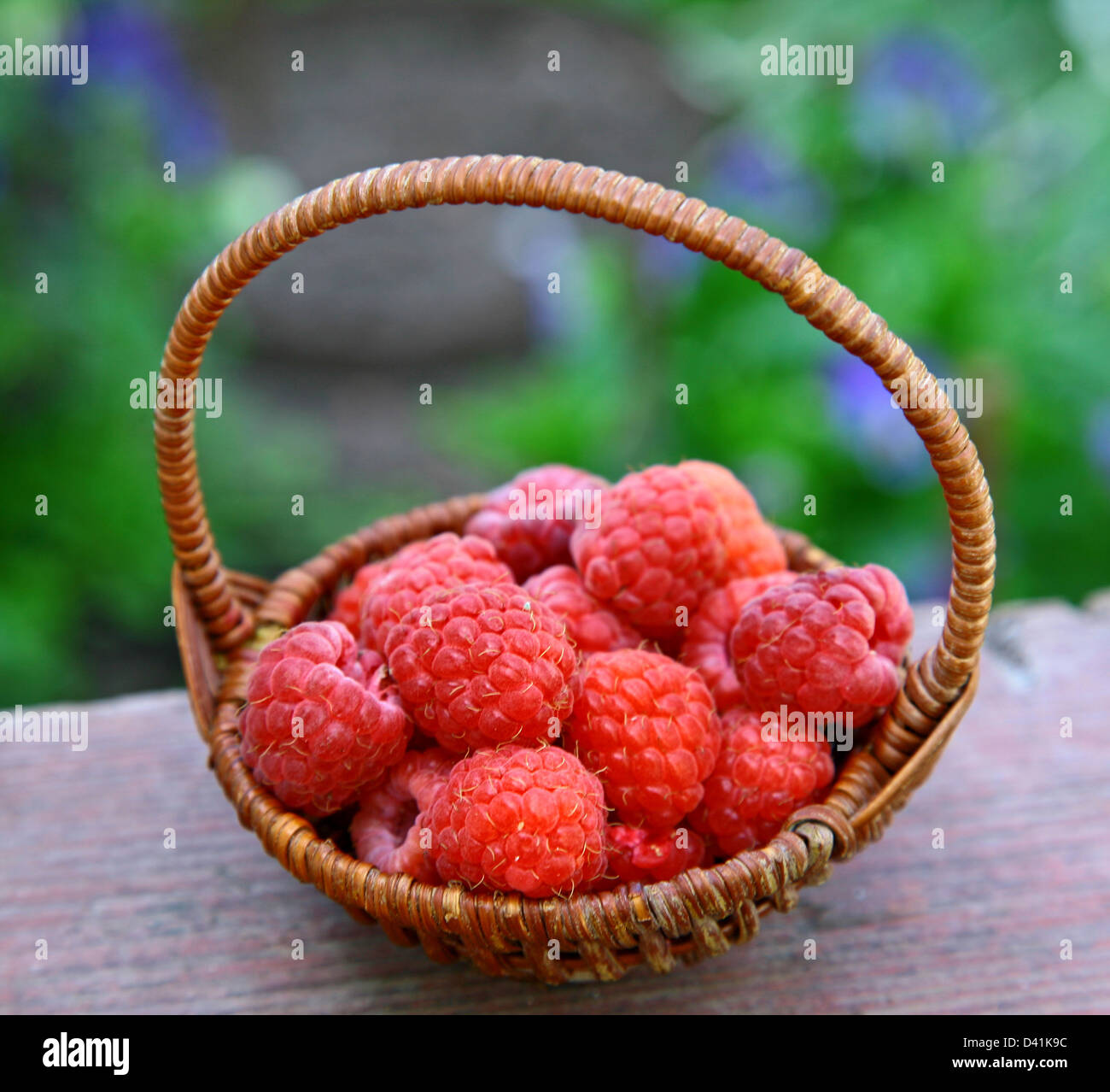 Basket of raspberries hi-res stock photography and images - Alamy