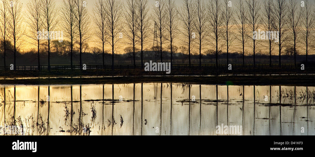 Severe flooding and reflections of trees in water seen from the ...