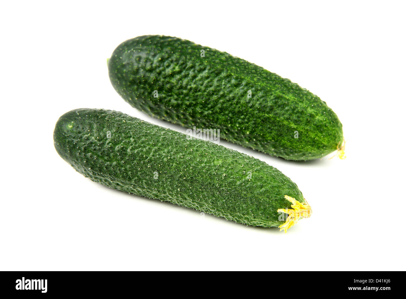 Two cucumbers on white background Stock Photo - Alamy