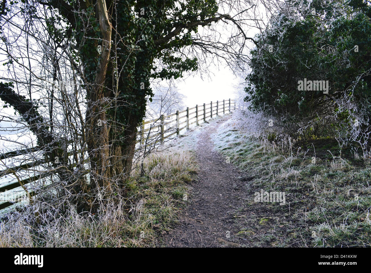 Frost trail hi-res stock photography and images - Alamy