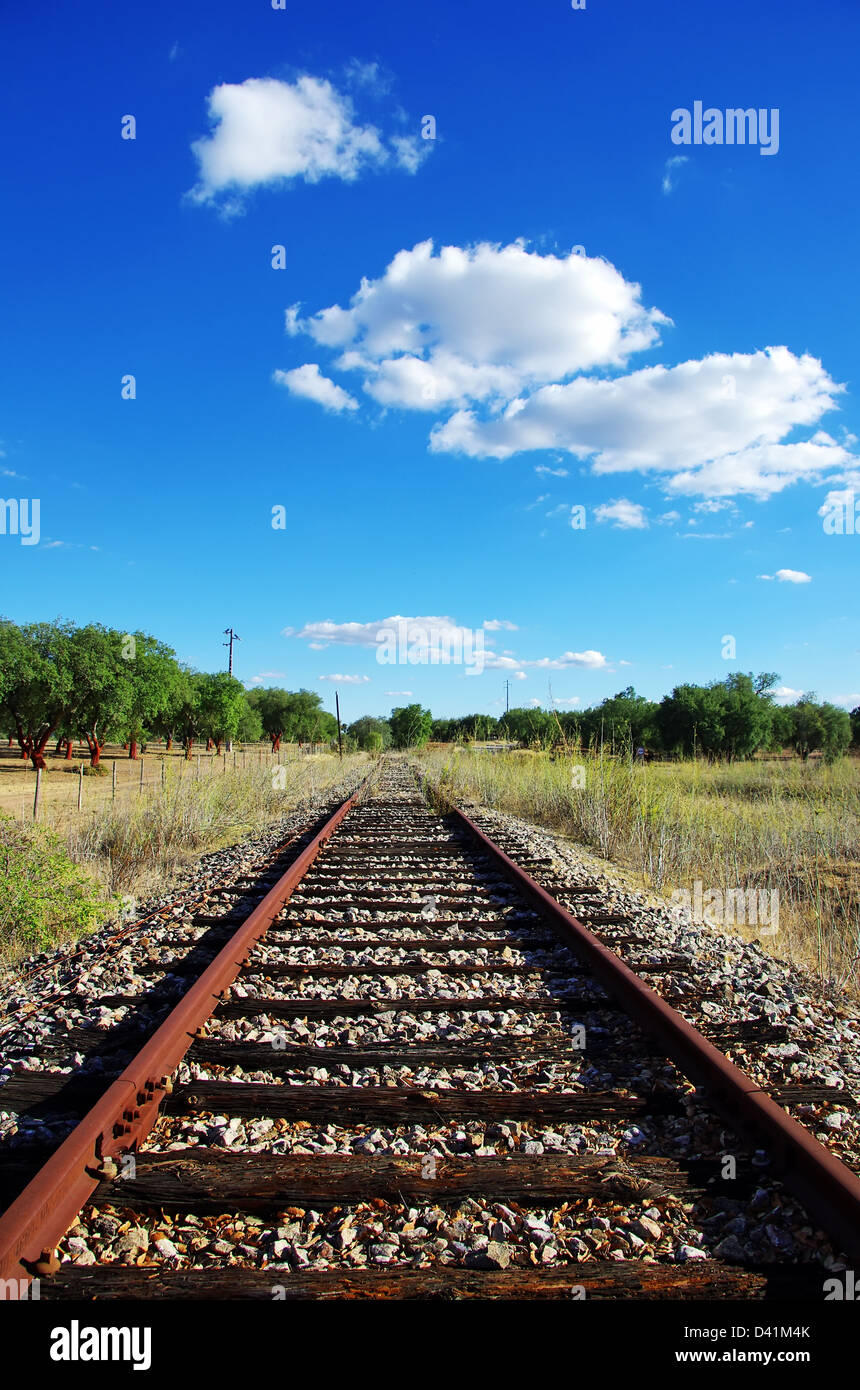 Green field form train hi-res stock photography and images - Alamy