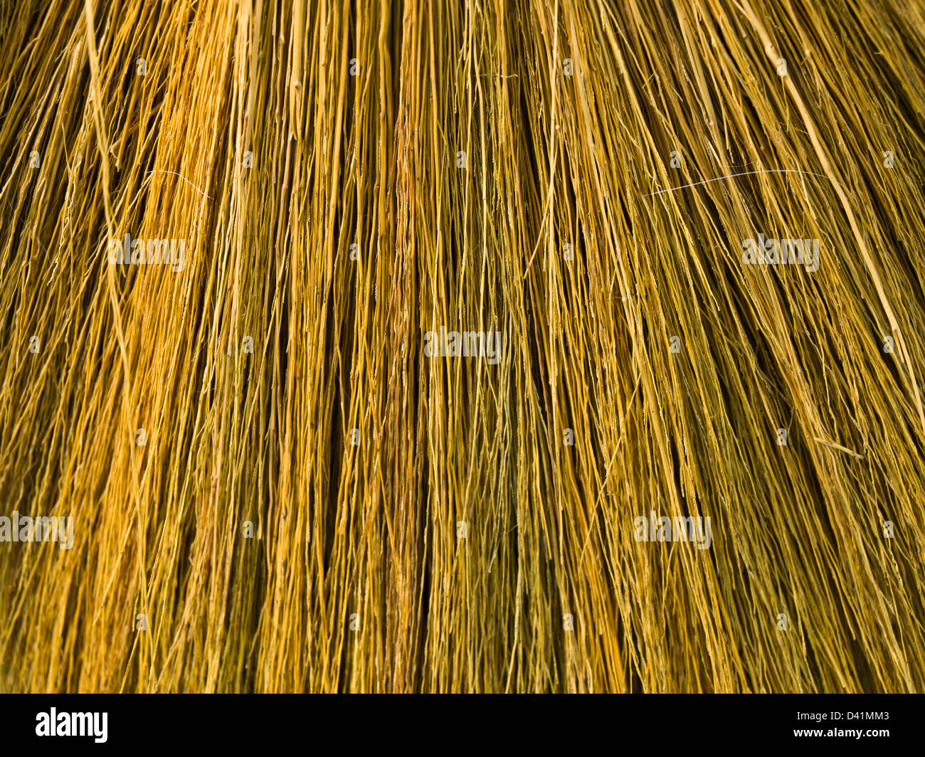 Grunge texture of dry grass Stock Photo - Alamy